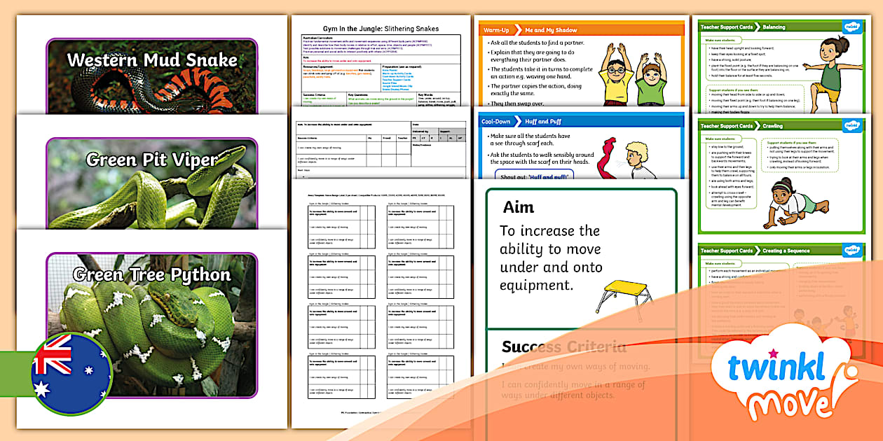 Move PE Foundation Gymnastics in the Jungle Lesson 3