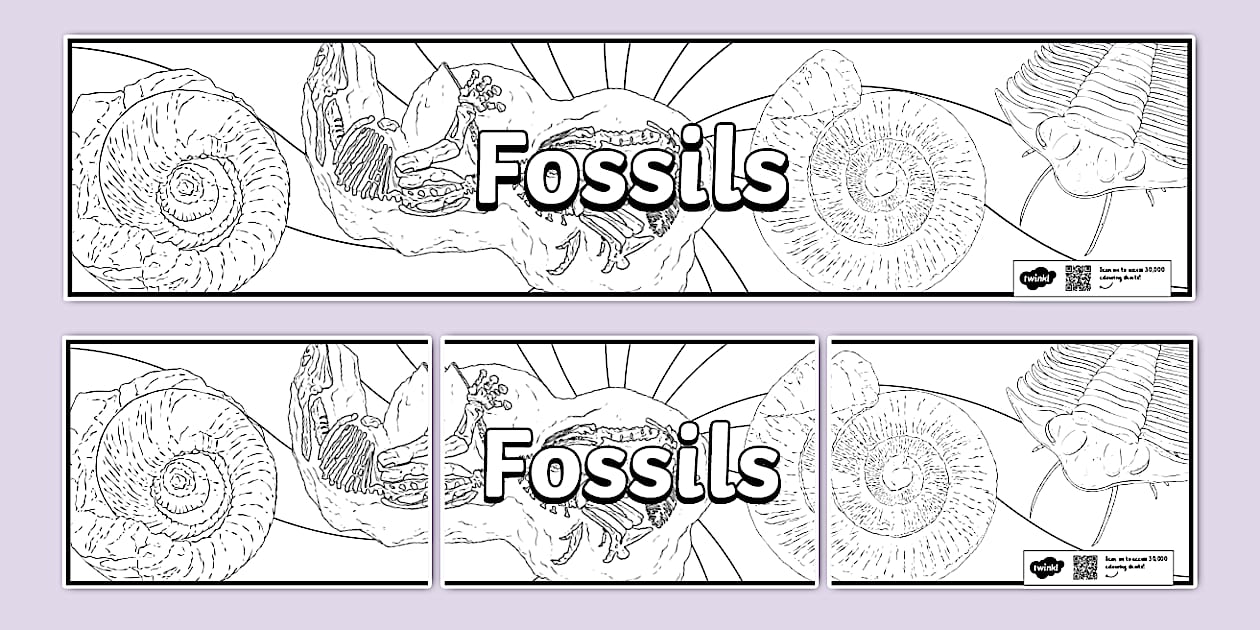 Fossils Colouring Display Banner (teacher made) - Twinkl
