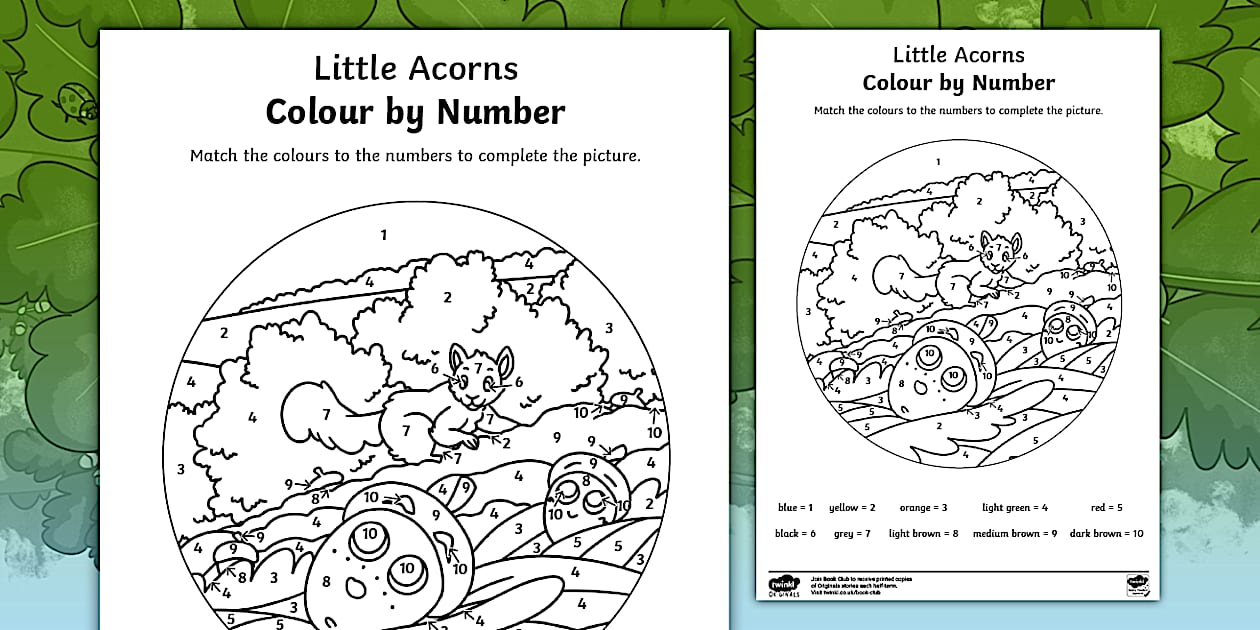 Little Acorns Color by Number (Teacher-Made) - Twinkl