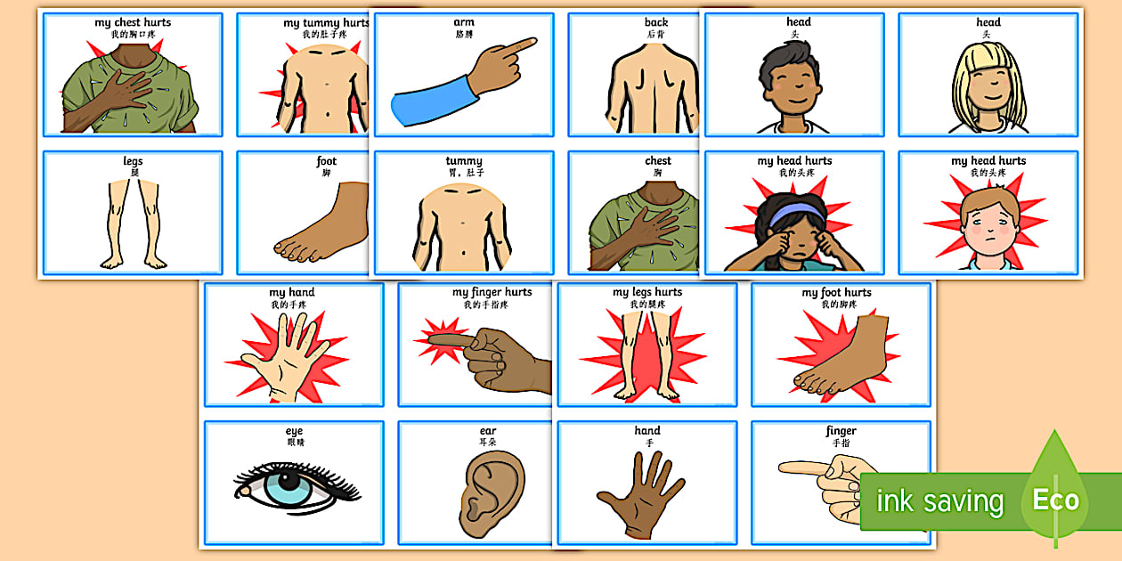 Mandarin Communication Cards - Parts of the Body | Twinkl