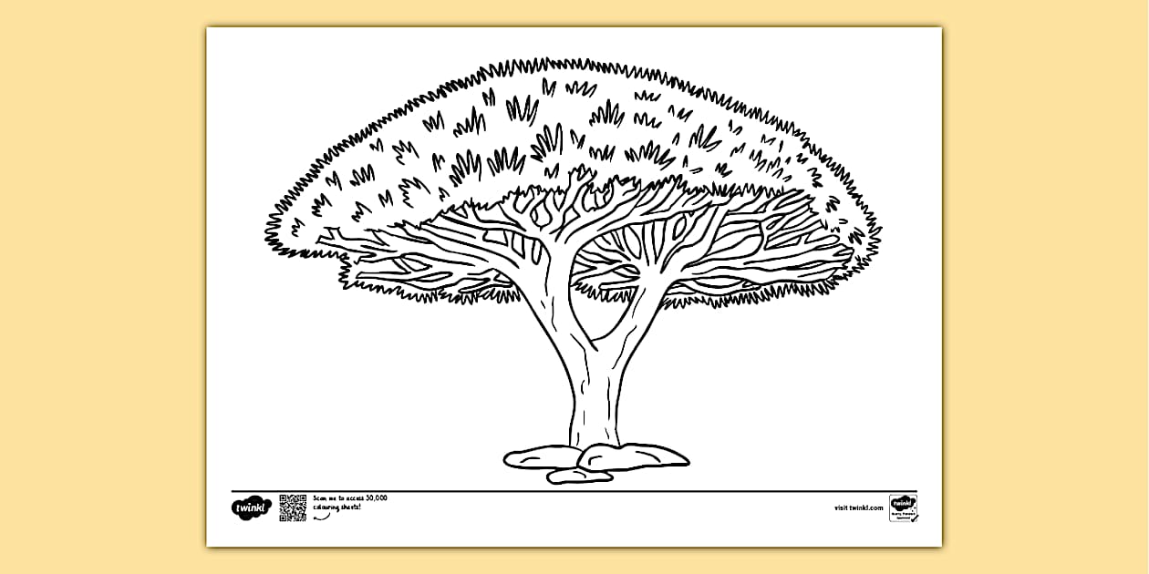 Desert Tree Colouring Page (teacher made) - Twinkl