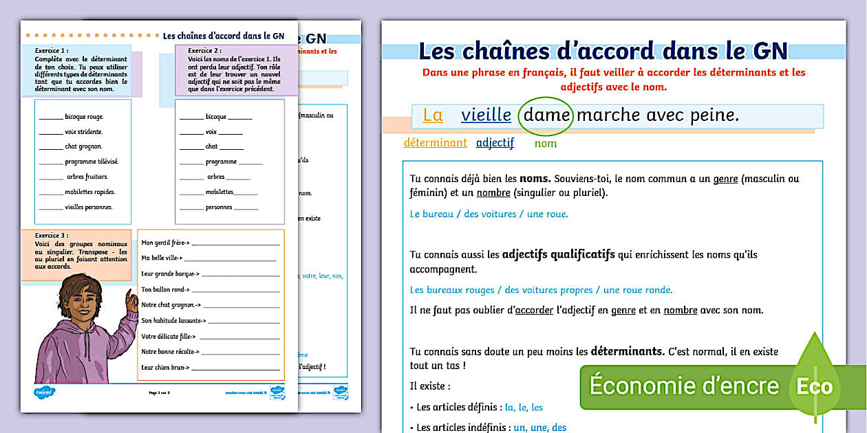 Les accords dans le groupe nominal - cycle 2 - Twinkl