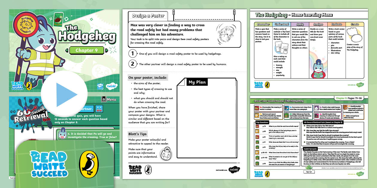FREE! - The Hodgeheg Whole-Class Guided Reading Pack: Chapter 9 [LKS2]