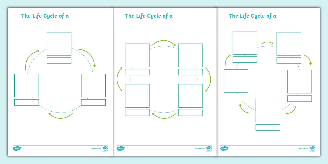 * NEW * Life Cycle Worksheets - Twinkl - KS2 - Twinkl