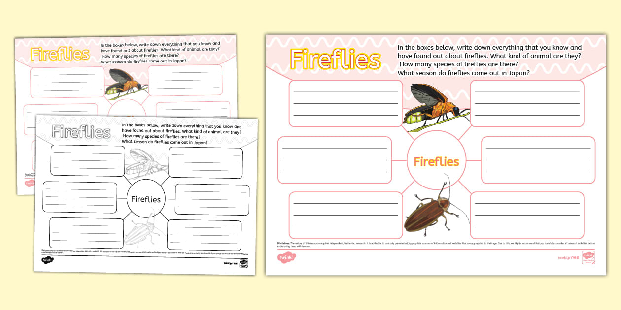 Fireflies Mind Map (teacher made) - Twinkl