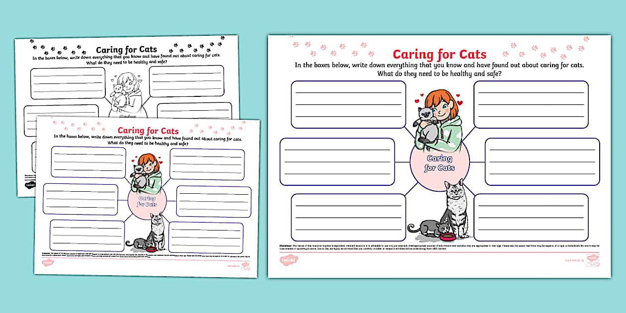 Caring for Cats Mind Map (teacher made) - Twinkl
