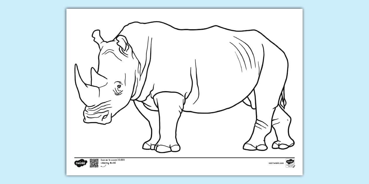 Rhino Colouring Sheet - Primary School (teacher made)