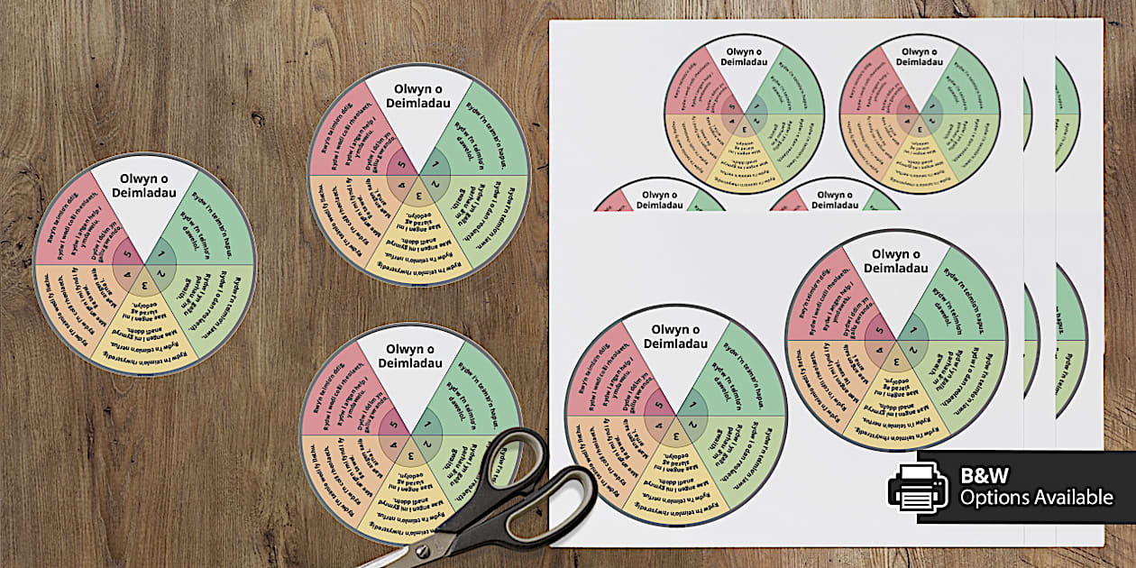 Olwyn Teimladau ac Emosiynau (teacher made) - Twinkl