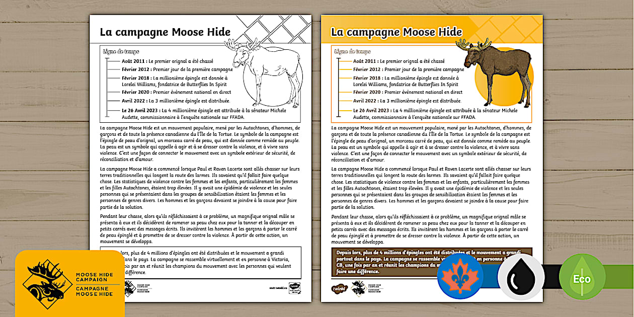 FREE! - Moose Hide Campaign Fact File French (teacher made)