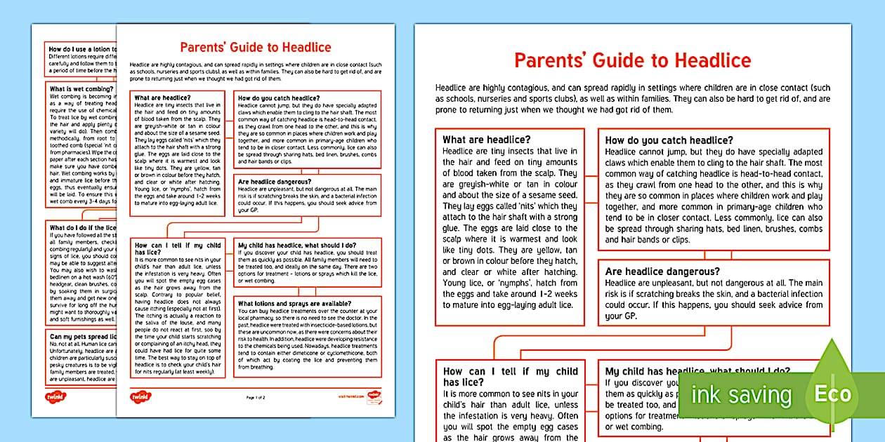 Editable Parents' Guide to Head Lice Parent and Carer Information Sheet