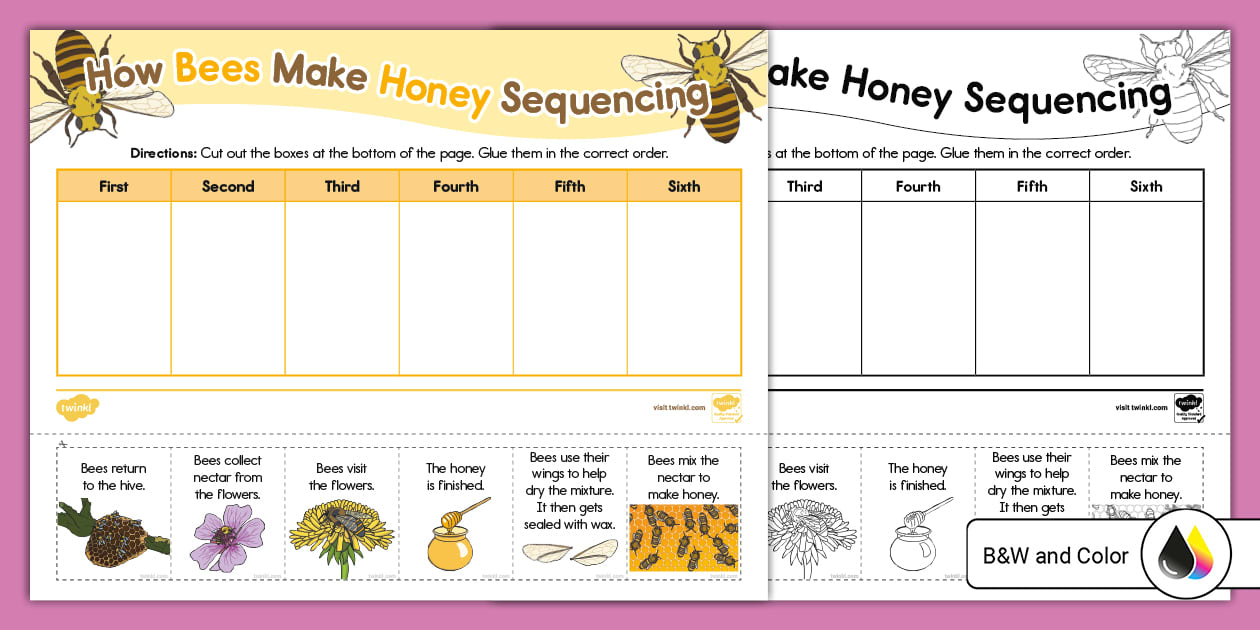 Kindergarten How Bees Make Honey Sequencing Worksheet