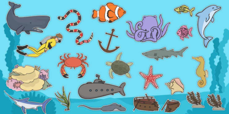 Mes del Mar Chile - Recursos educativos e información