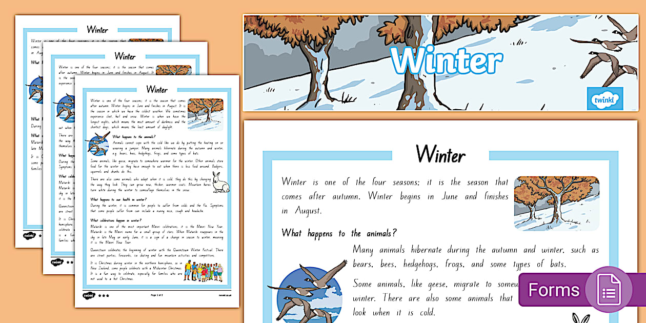 Middle Ability New Zealand Winter Differentiated Reading Comprehension