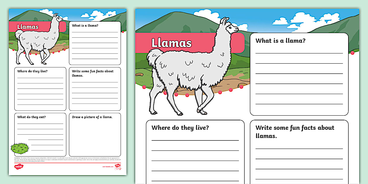Llama Fact File Template - KS1 (Teacher-Made) - Twinkl