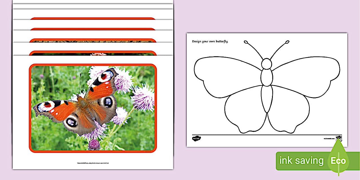 Painting Symmetrical Butterflies Resource Pack - Twinkl