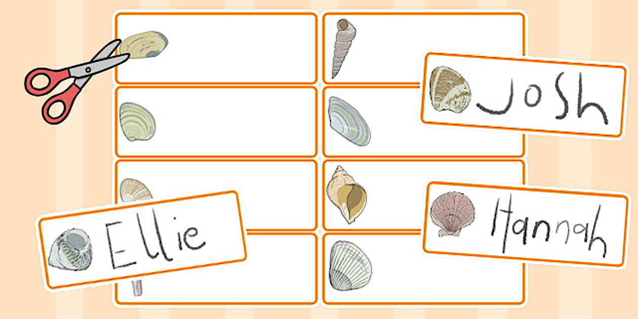Editable British Seashell Drawer Peg Name Labels - Twinkl