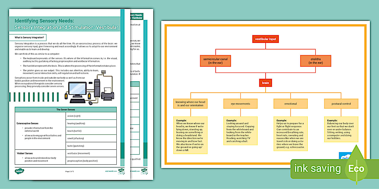 Identifying Sensory Needs: Senses for Sensory Integration and Stimulation: