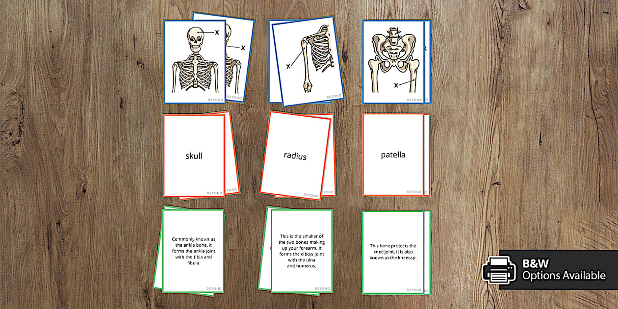 Skeleton Card Sort (صُمم من قبل مُختصّين)
