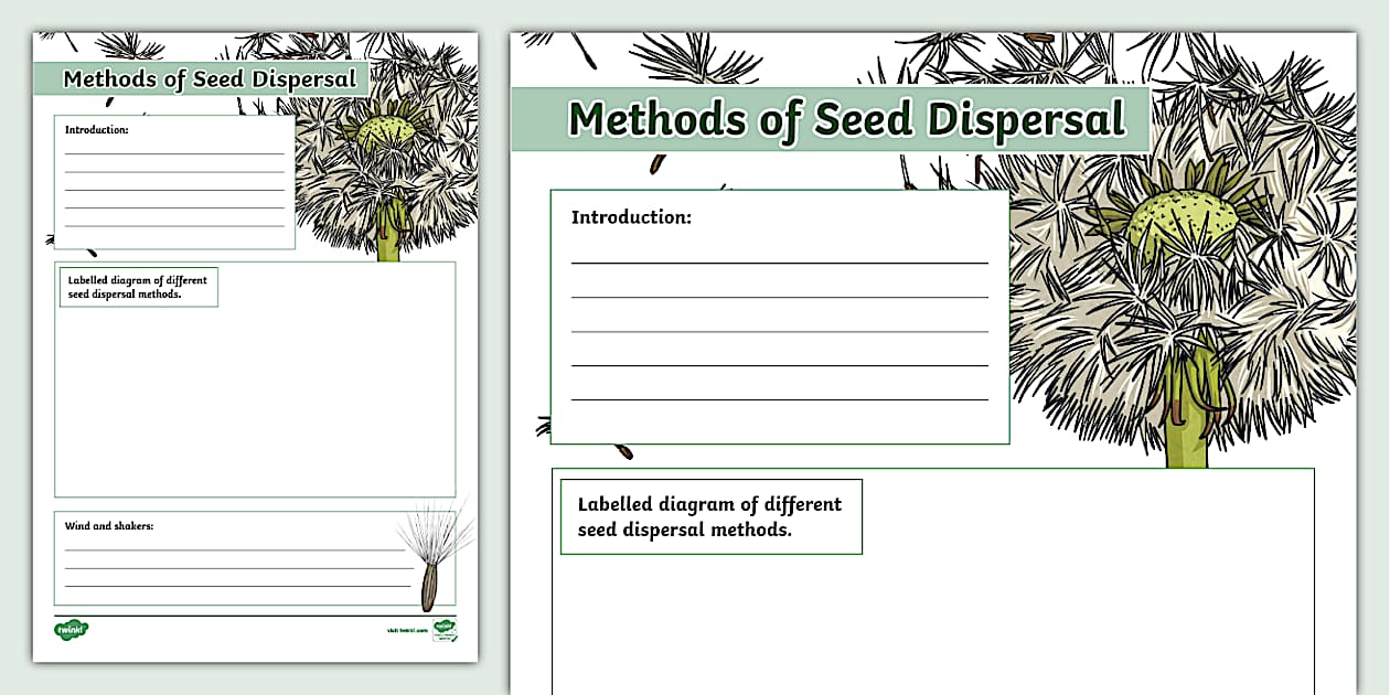Methods of Seed Dispersal Non-Chronological Report Template