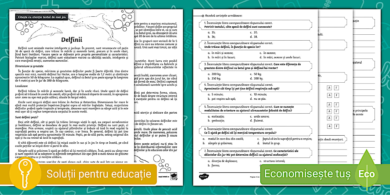 Clasa 4 Pregătire EN LLR - Fișe de exersare pentru martie