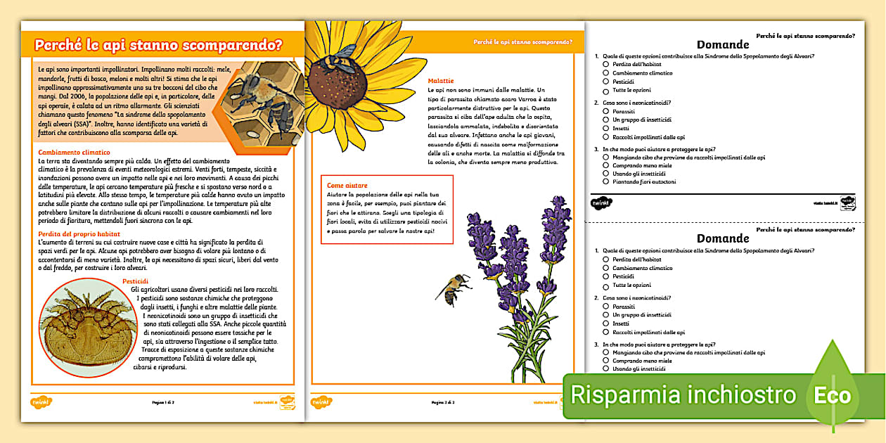 Lettura sulla Scomparsa delle Api | Scuola Primaria - Twinkl
