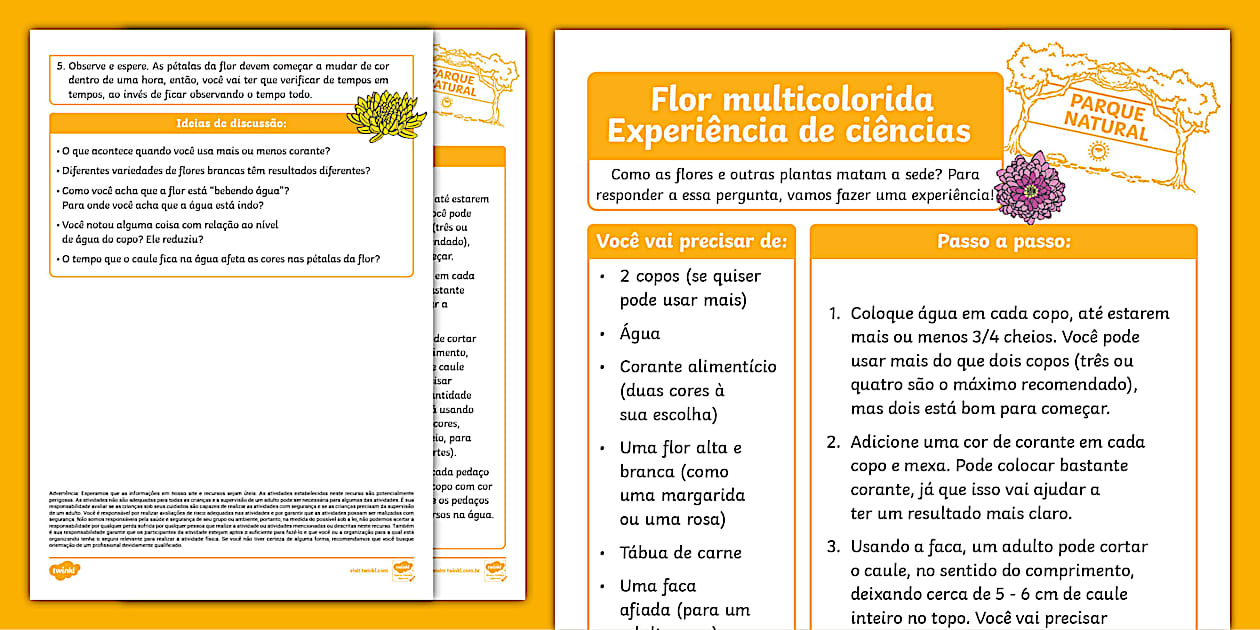 Experiência de ciências - Flor multicolorida - Twinkl