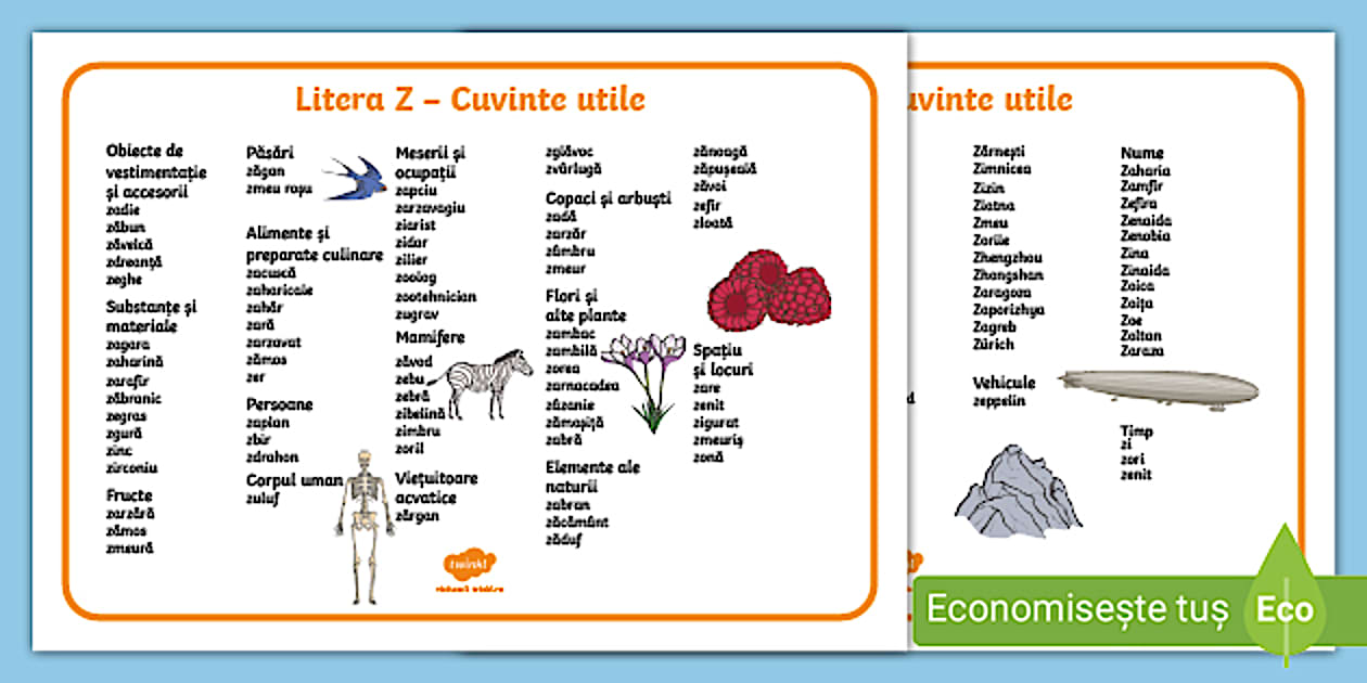 Litera Z – Cuvinte utile (teacher made) - Twinkl