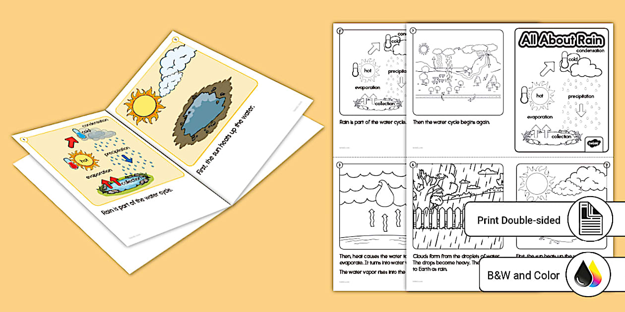 All About Rain Emergent Reader (teacher made) - Twinkl