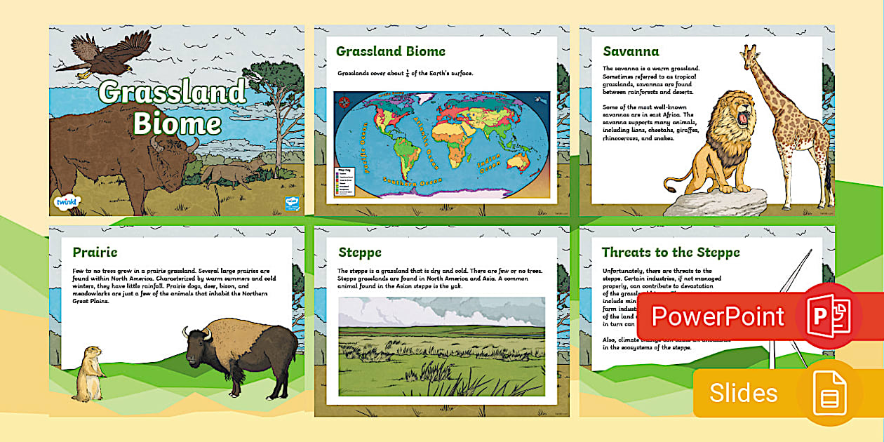 Grassland Biome PowerPoint & Google Slides for 3rd-5th Grade