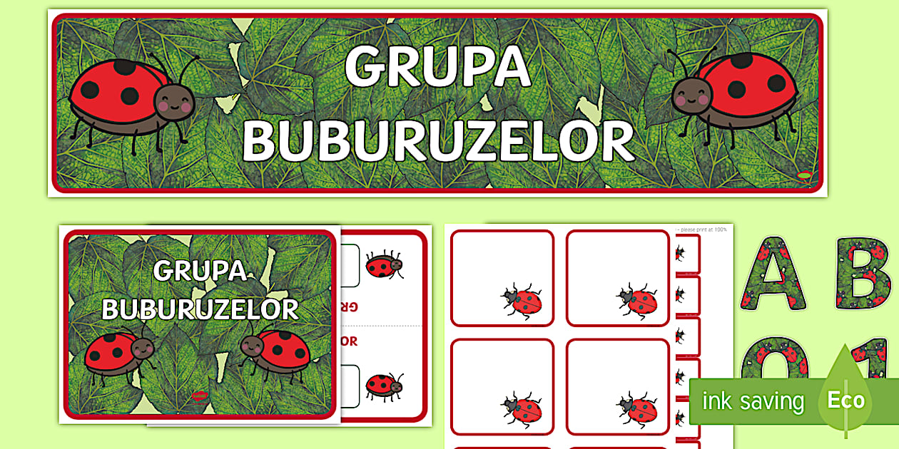 Grupa buburuzelor Pachet cu resurse (teacher made) - Twinkl