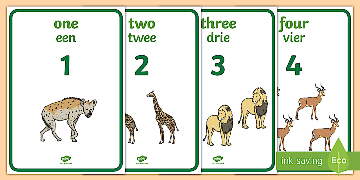 Numbers, Words and Picture Display Posters English/Afrikaans