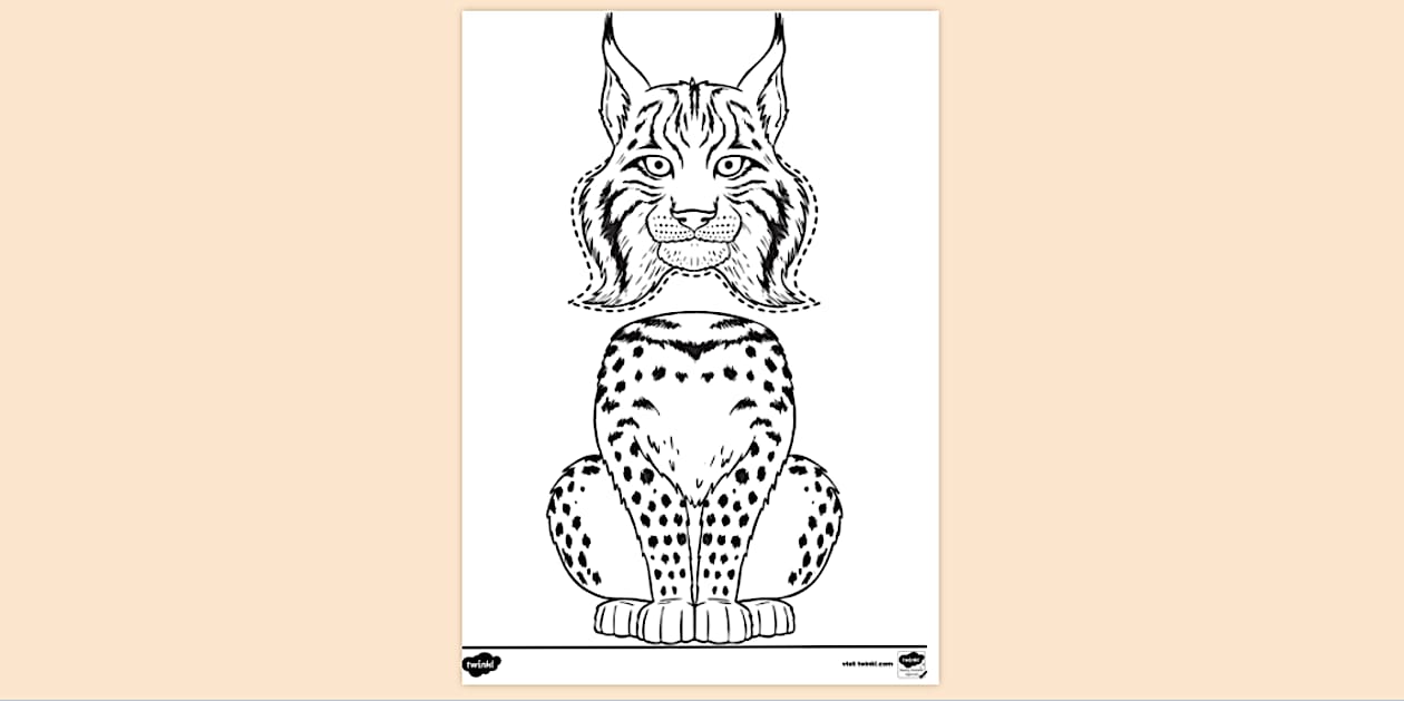 Lynx Puppet Template Colouring | Colouring Sheets - Twinkl