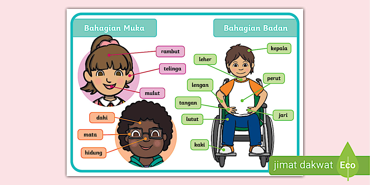 Poster Anggota Badan (teacher made) - Twinkl