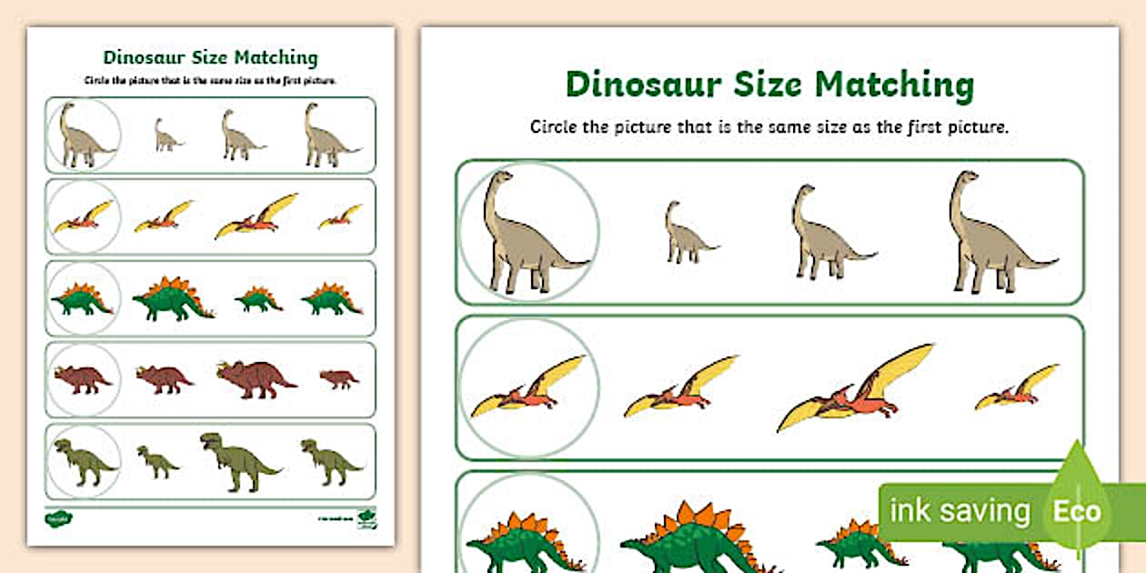 Dinosaur Size Matching Worksheet (teacher made) - Twinkl