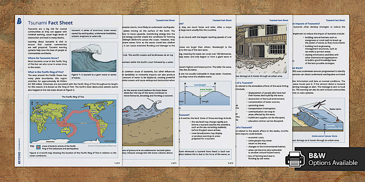 Tsunami Facts Sheet | Geography | Beyond Secondary - Twinkl