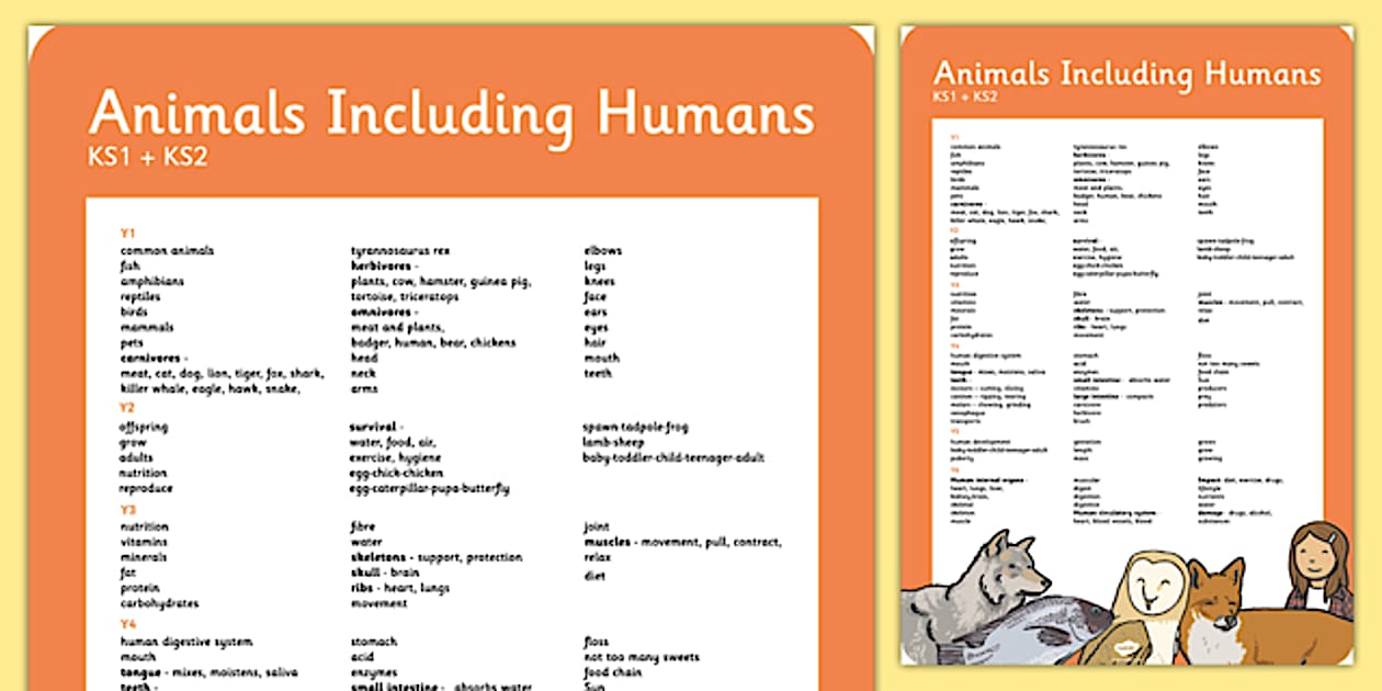 Ages 5-11 Animals Including Human Scientific Vocab Progress Poster