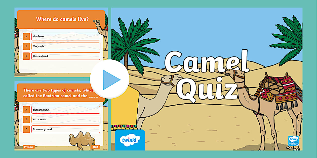 Camel Quiz PowerPoint (teacher made) - Twinkl