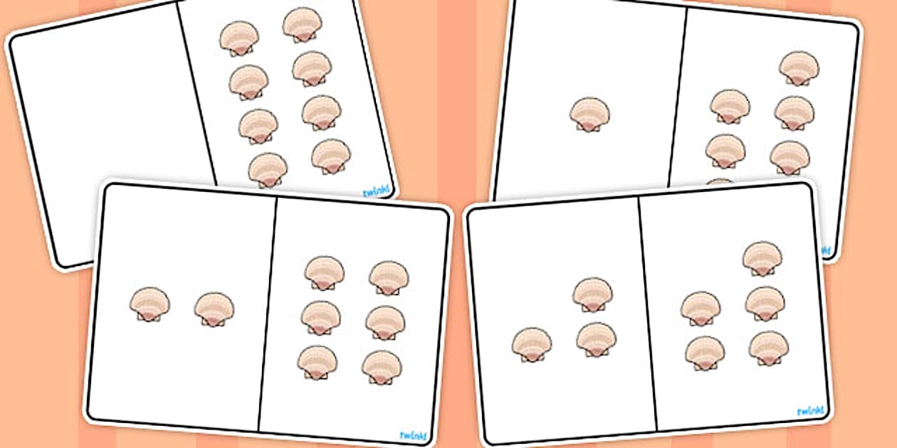 Sea Shell Counting Number Bonds to 8 (teacher made) - Twinkl