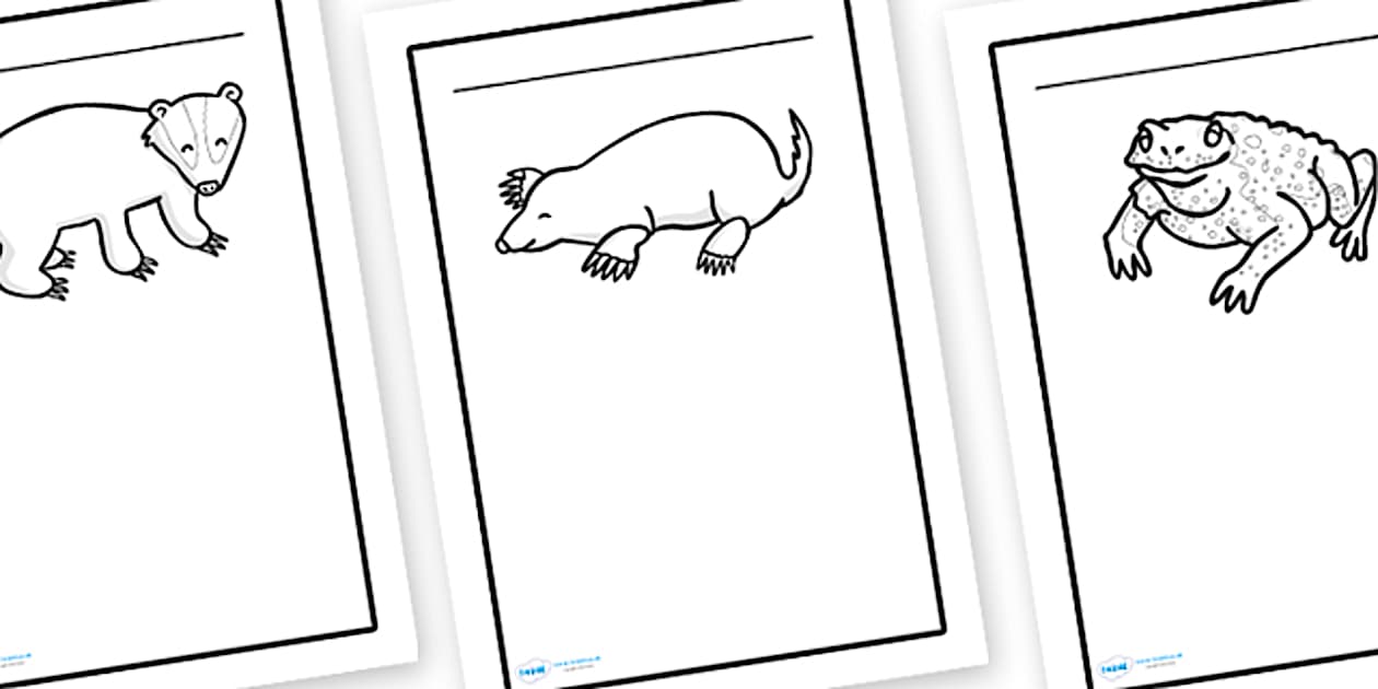 Editable British Wildlife Writing Frames (teacher made)