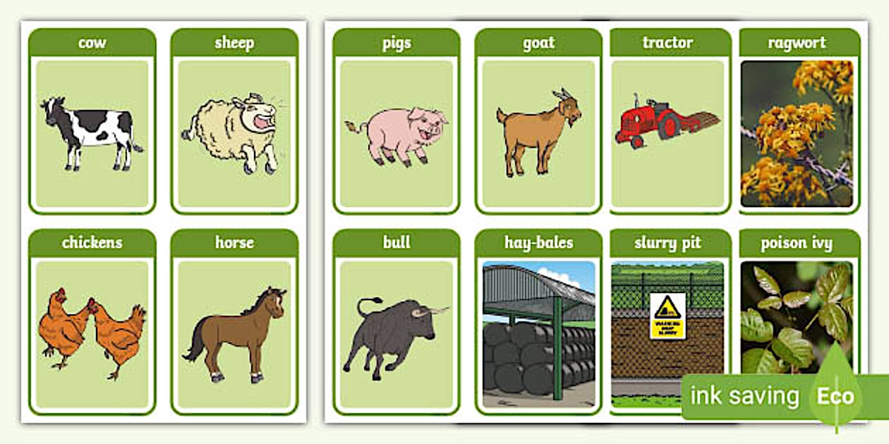 Farm Safety Flash Cards (teacher made) - Twinkl