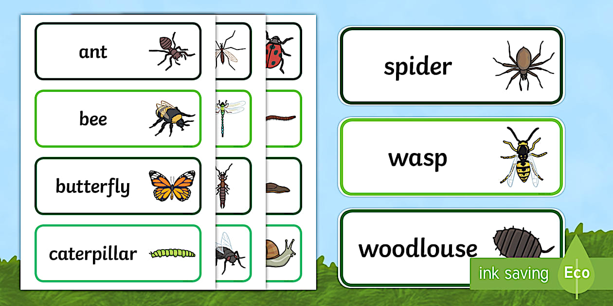 Minibeast Themed Word Cards - Minibeast Themed Labels