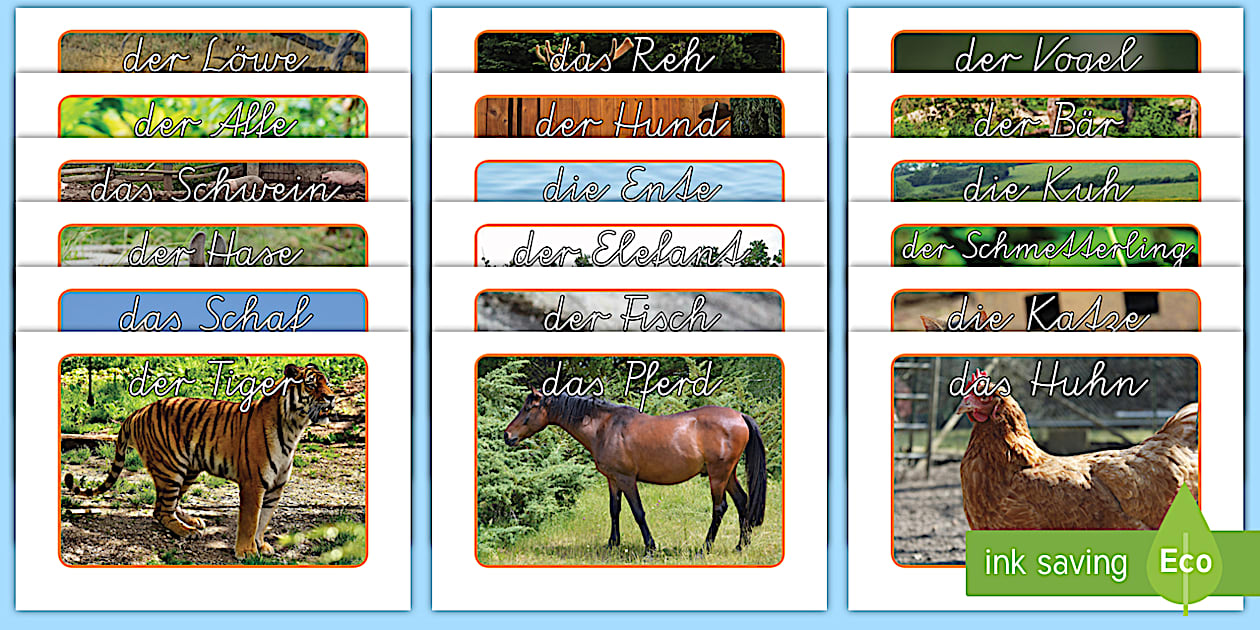 Tiere Poster für die Klassenraumgestaltung (teacher made)