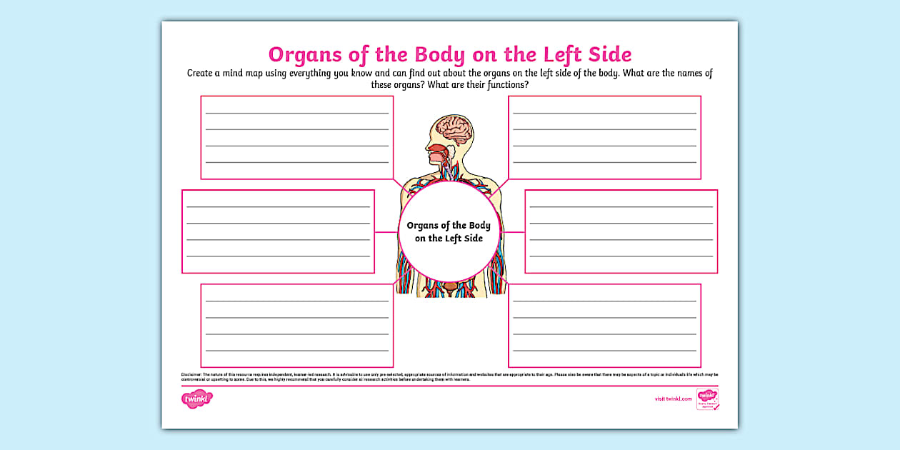 Organs of the Body on the Left Side Mind Map - Twinkl