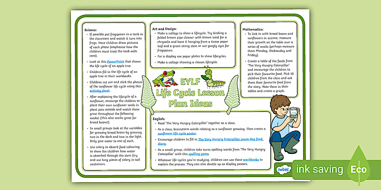 Life Cycle Lesson Plan Ideas (Teacher-Made) - Twinkl