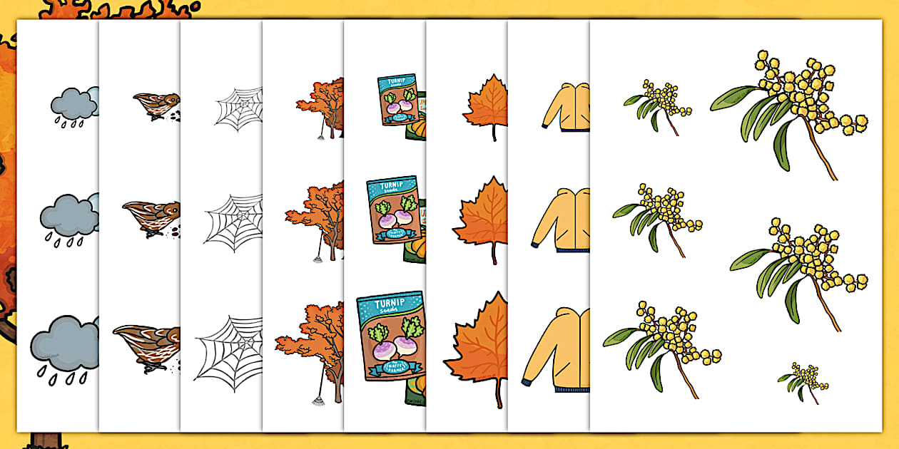 Autumn Size Ordering Worksheet (teacher made) - Twinkl