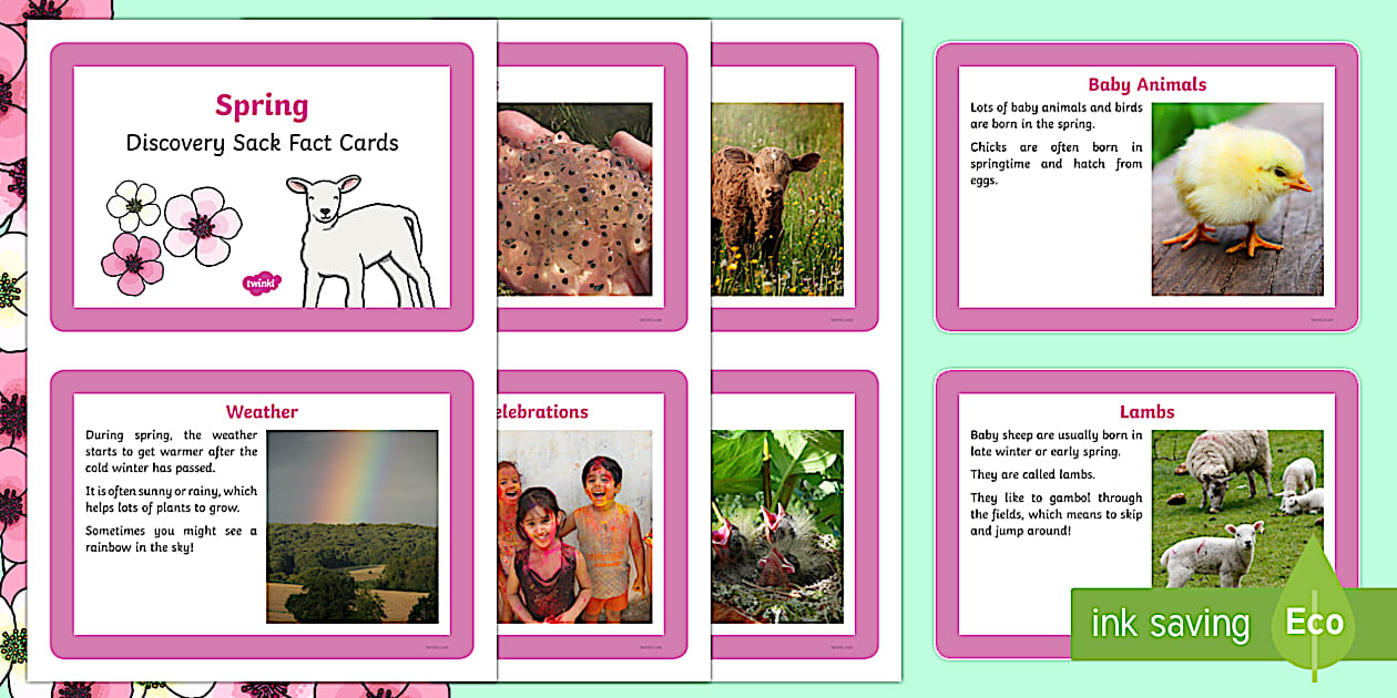 Spring Facts For Kids - EYFS Spring Topics (teacher made)