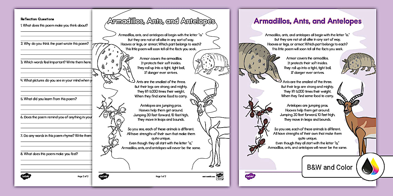 Second Grade Poetry Analysis Worksheet: Armadillos, Ants, and Antelopes