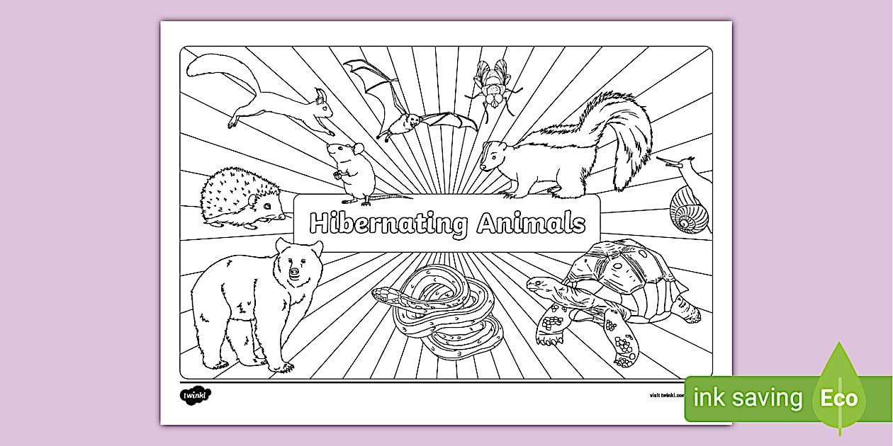 Hibernating Animals Colouring Page - Twinkl