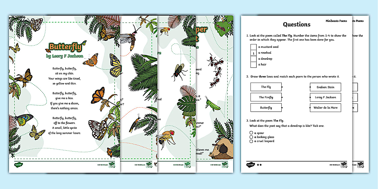 KS1 Minibeasts Poems Differentiated Reading Comprehension