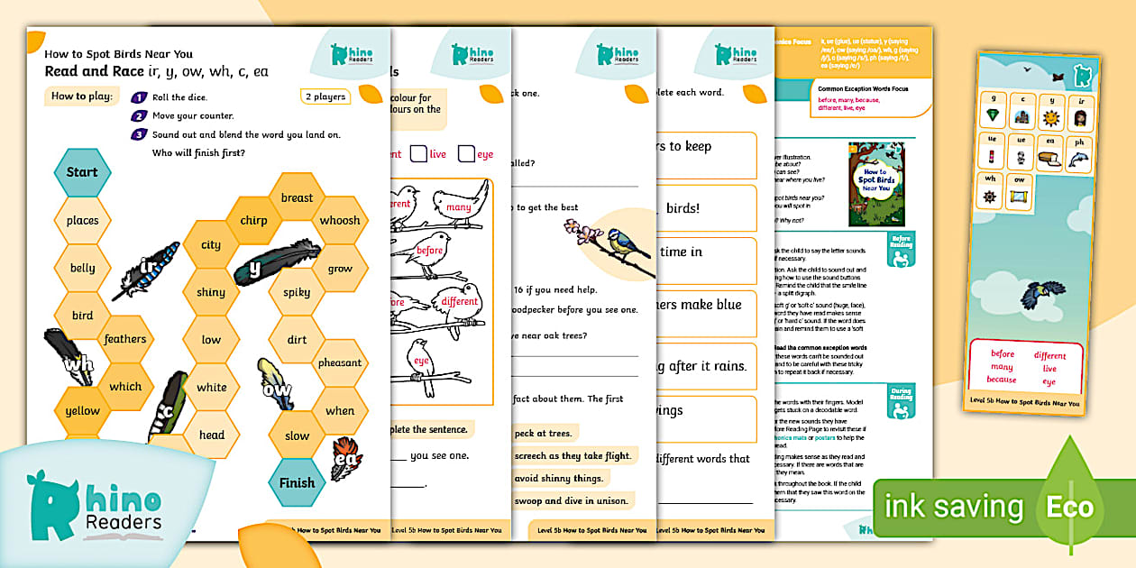 5b How to Spot Birds Near You: Resource Pack (Teacher-Made)